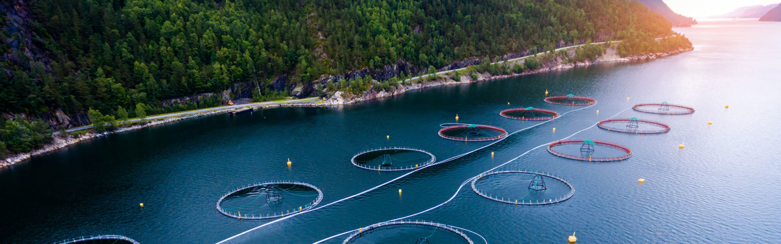 Home | Novacyt Group